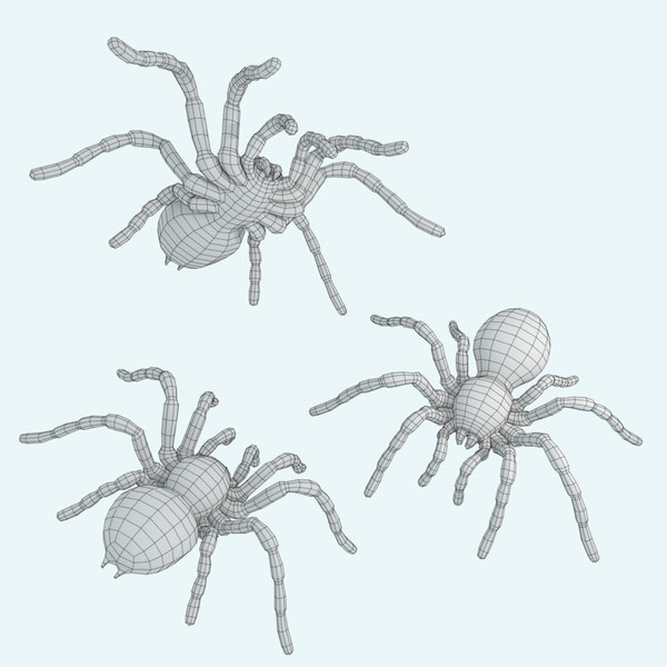 base mesh tarantula spider fbx
