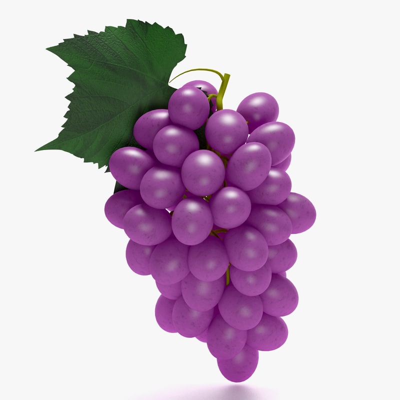 3d purple grapes model