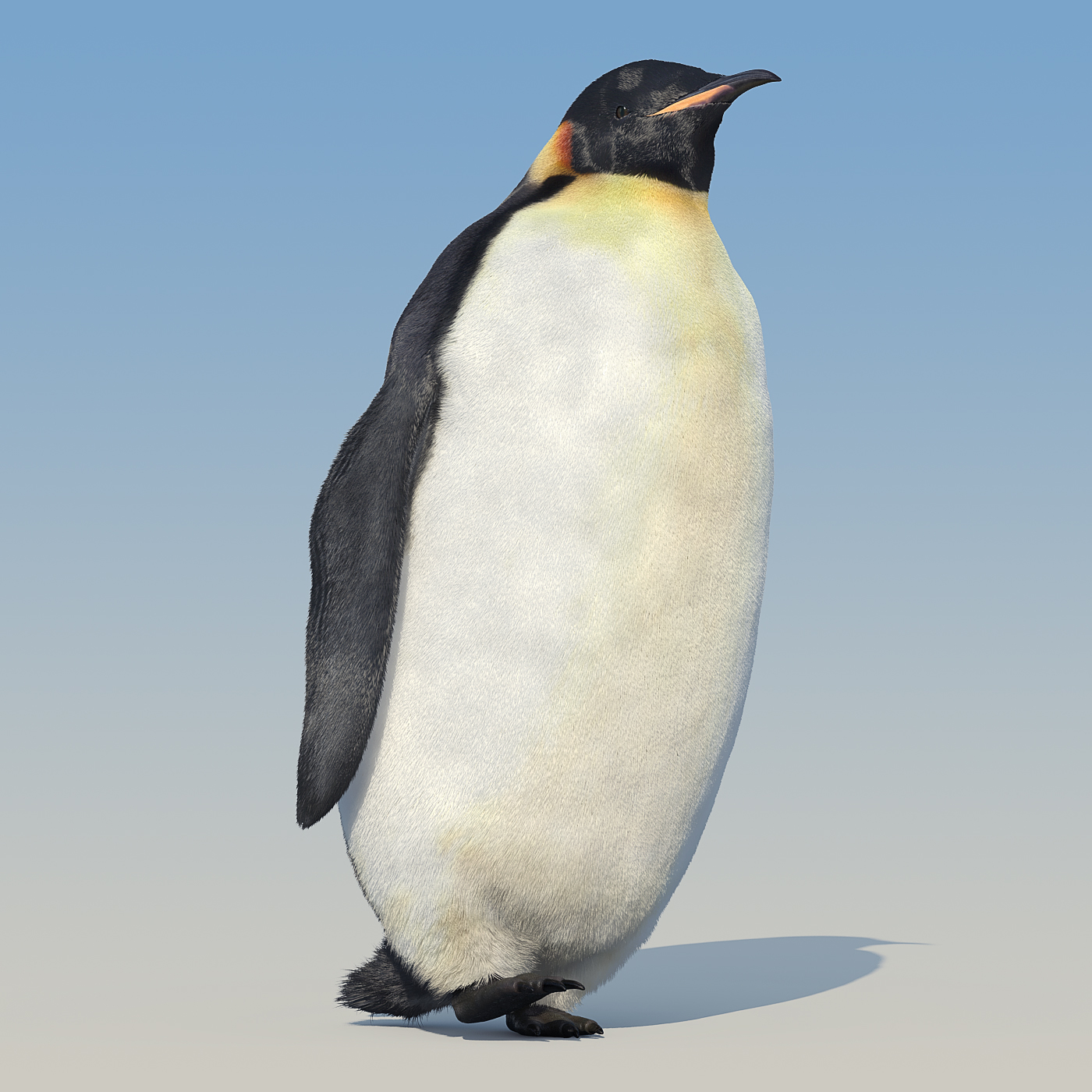 3d emperor penguin fur animation