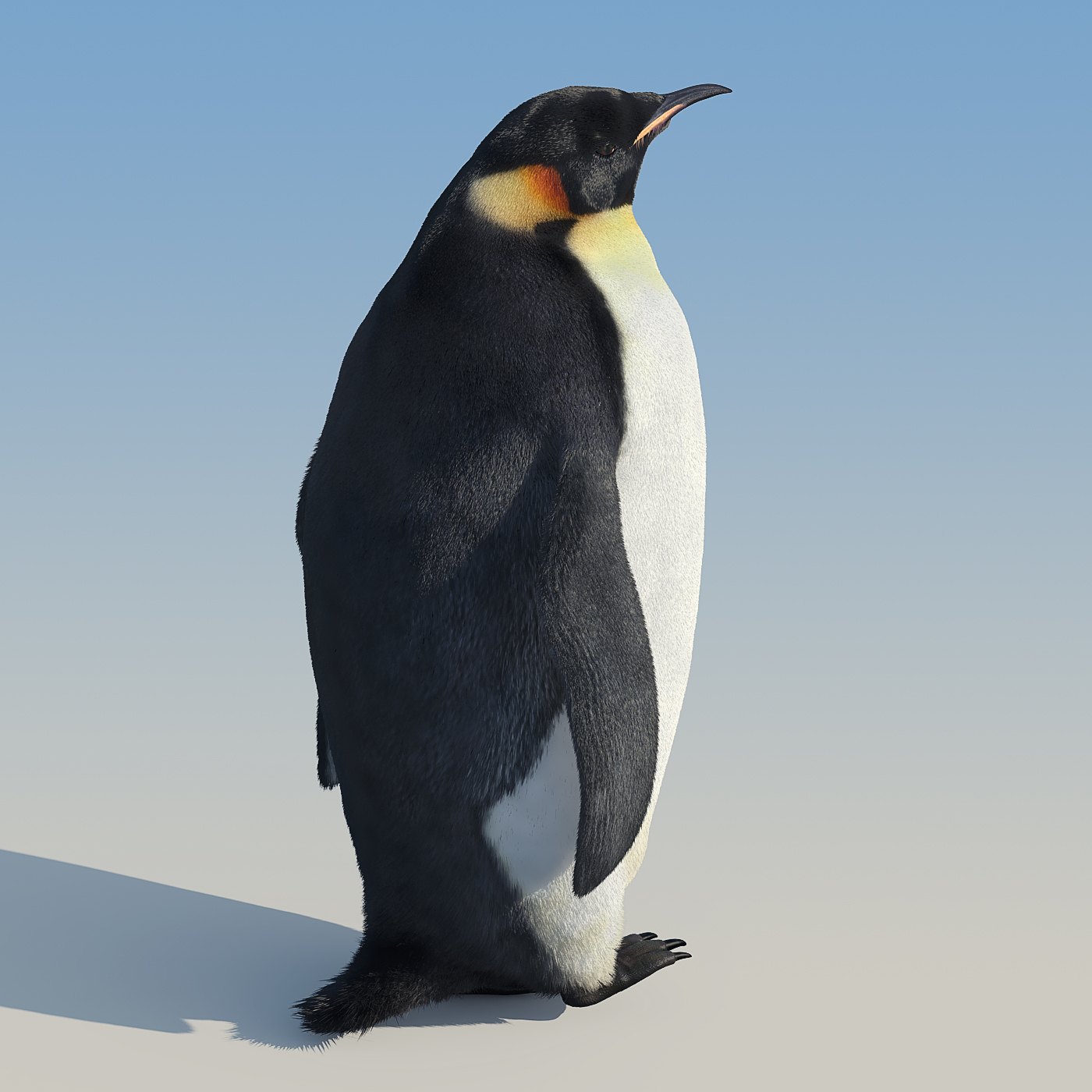 3d emperor penguin fur animation