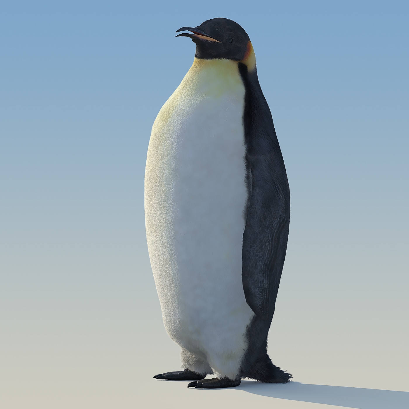 3d emperor penguin fur animation