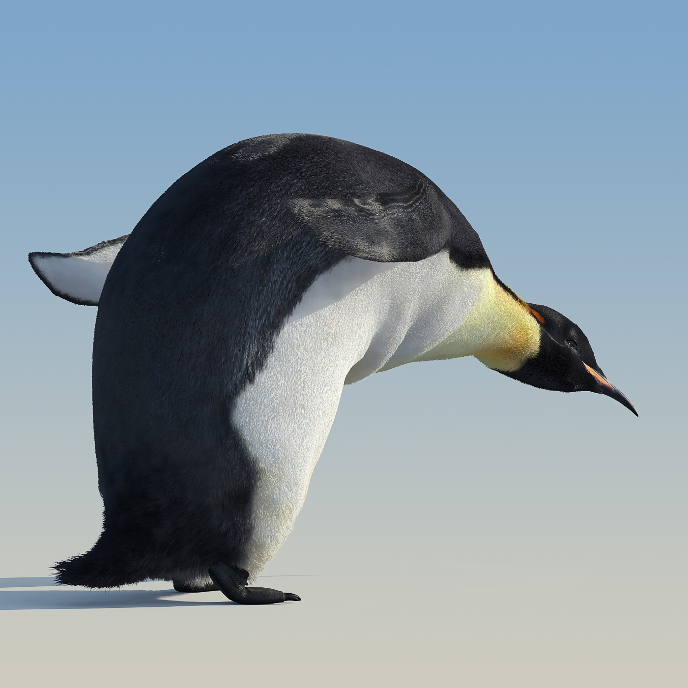 3d emperor penguin fur animation