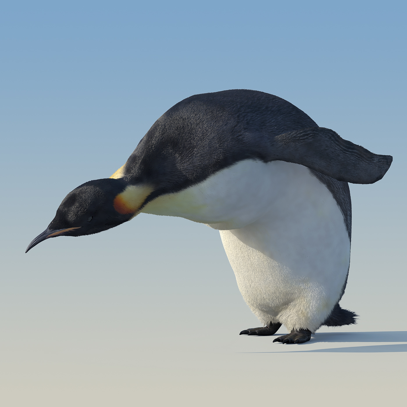 3d emperor penguin fur animation