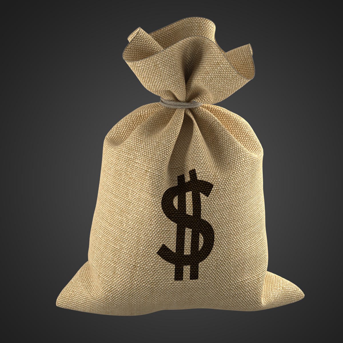 money bag 3d 3ds