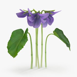 Violet 3D Models for Download | TurboSquid