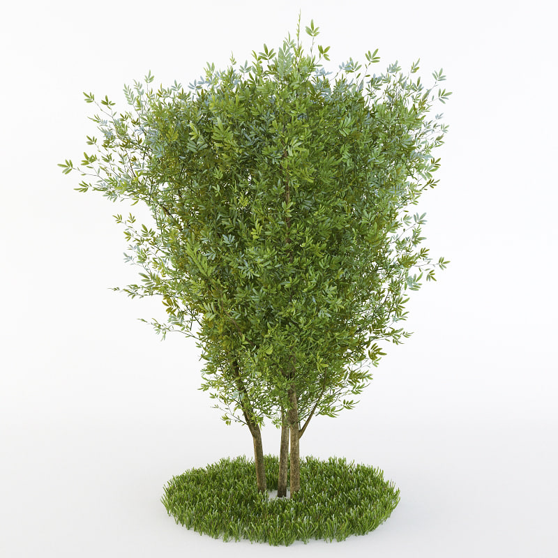 bush 3d max