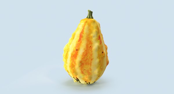 3d gourd