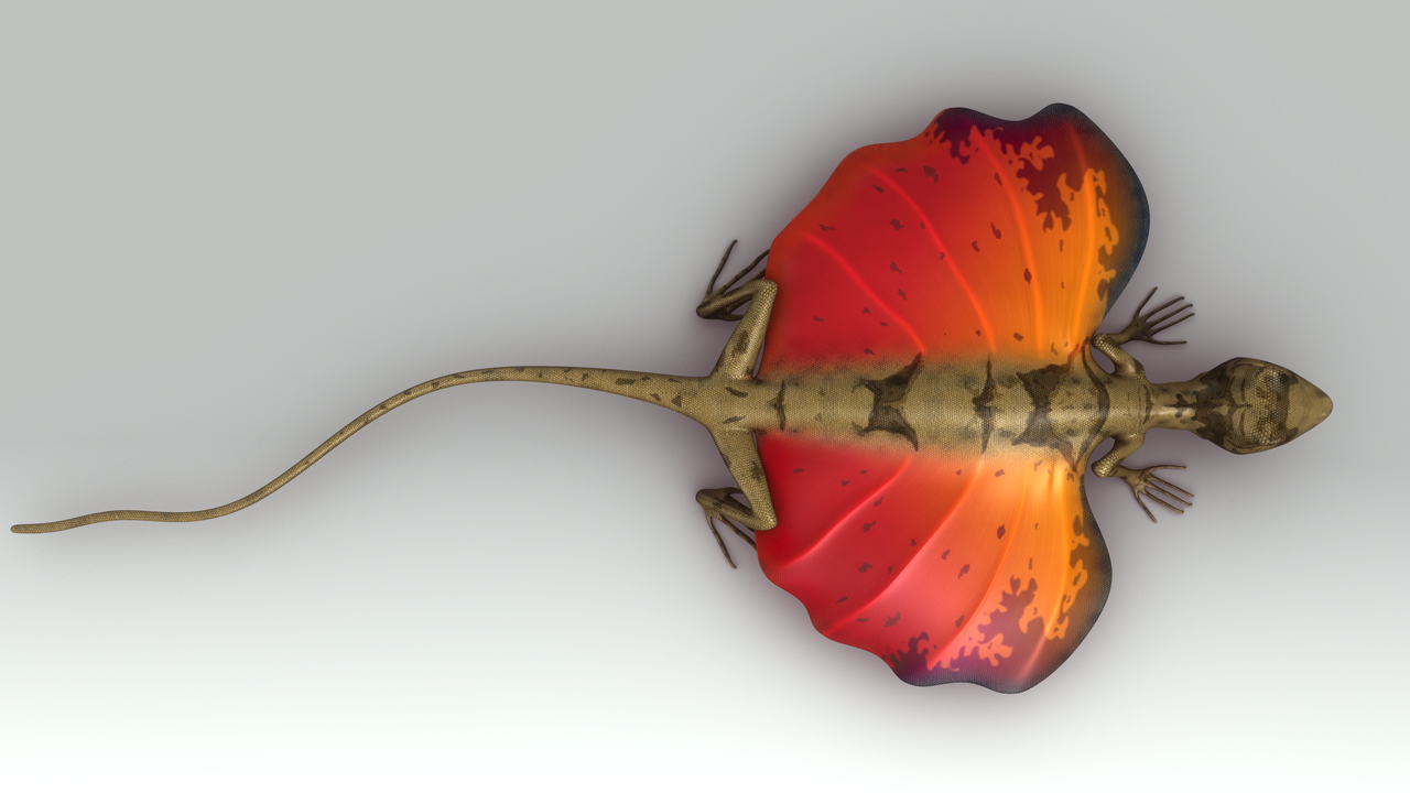 obj flying lizard