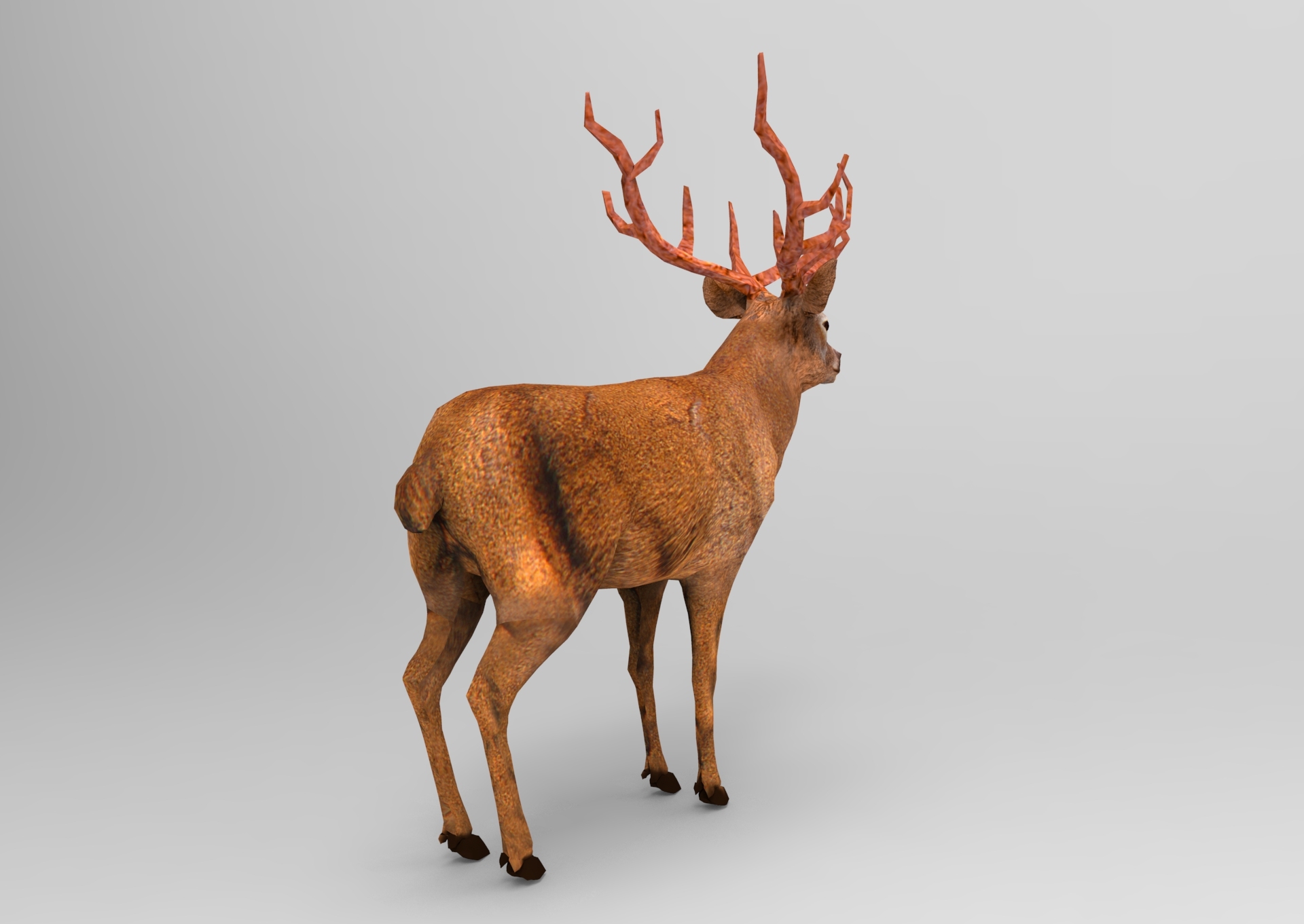 3d model deer rigged