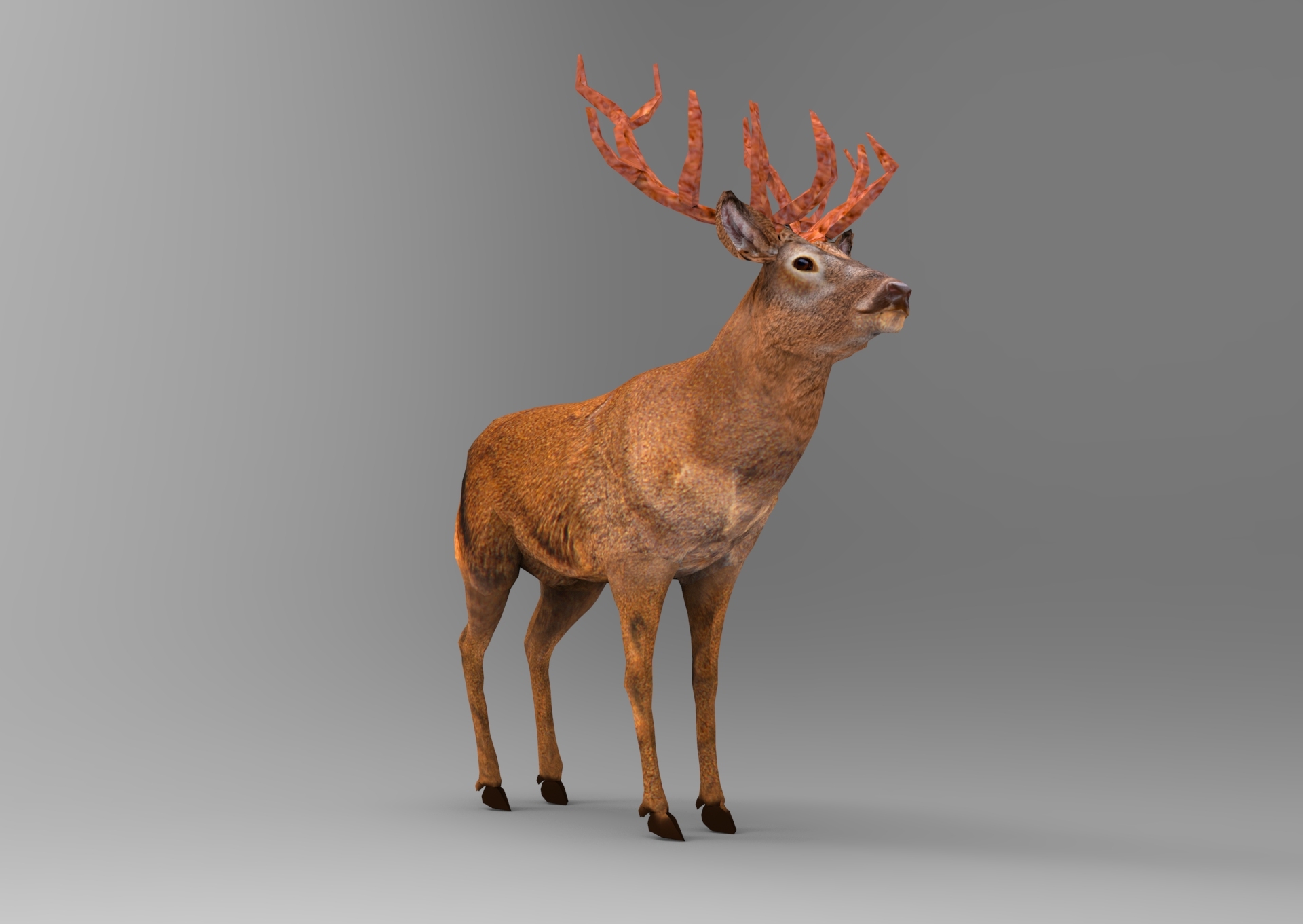 3d model deer rigged