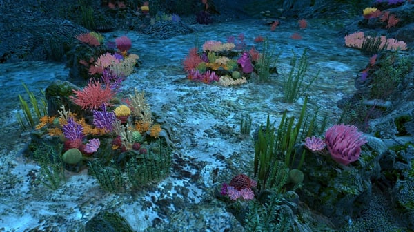 ocean floor coral reefs 3d max