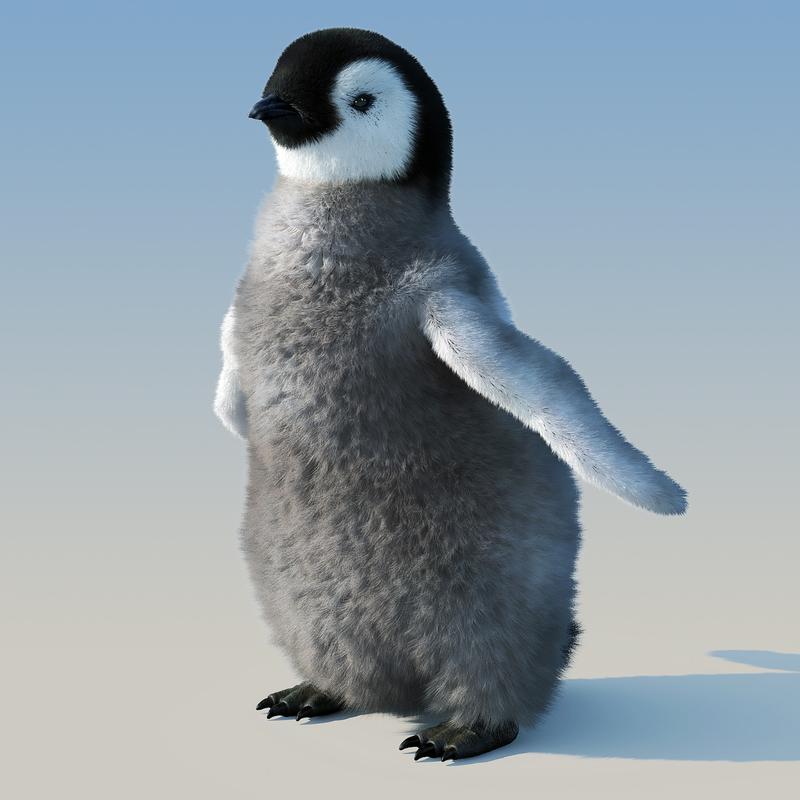 emperor penguin chick fur max