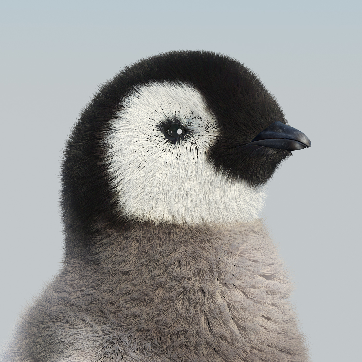 emperor penguin chick fur max