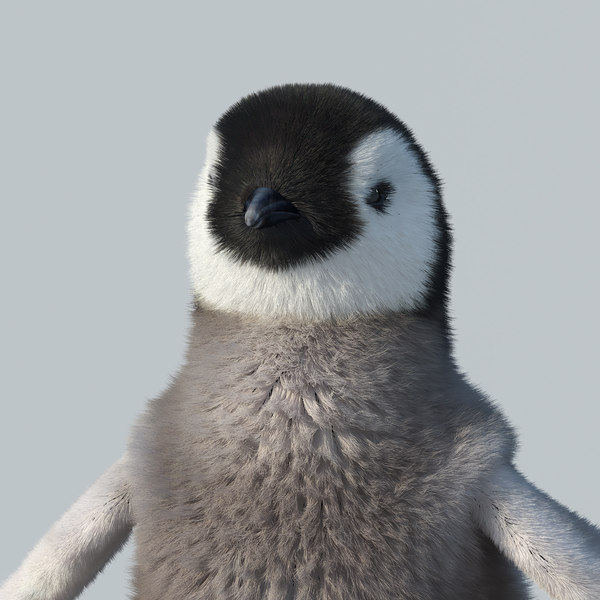 emperor penguin chick fur max