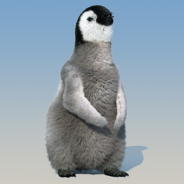 emperor penguin chick fur 3d model