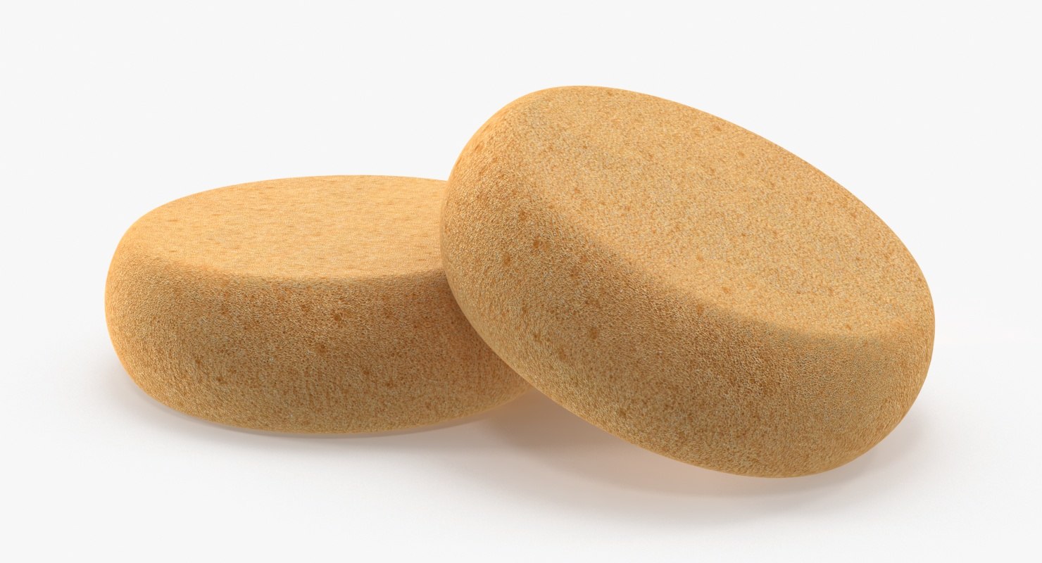 sponge 3d model