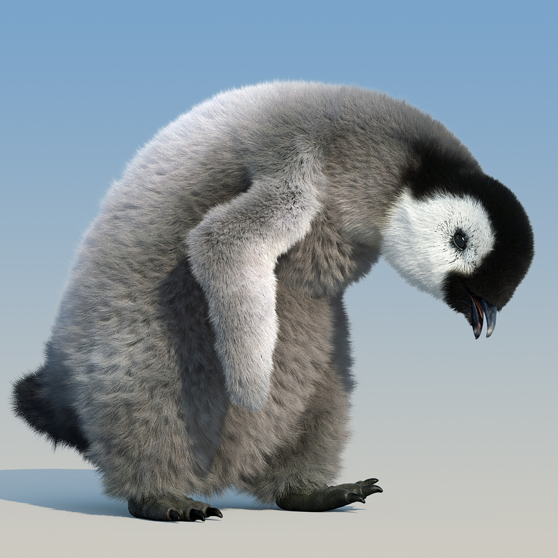 emperor penguin group fur 3d max