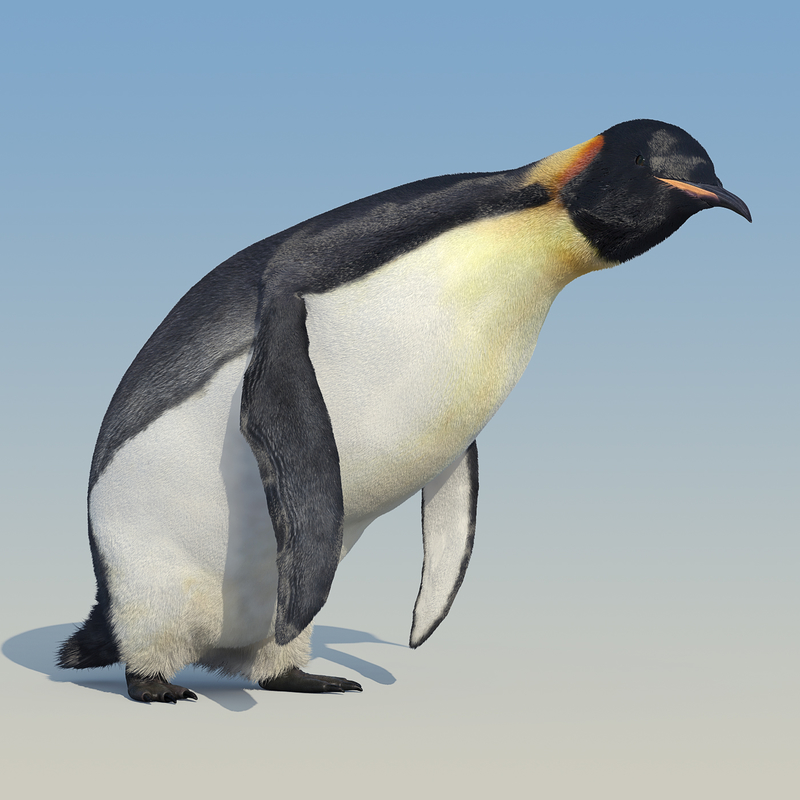 emperor penguin group fur 3d max