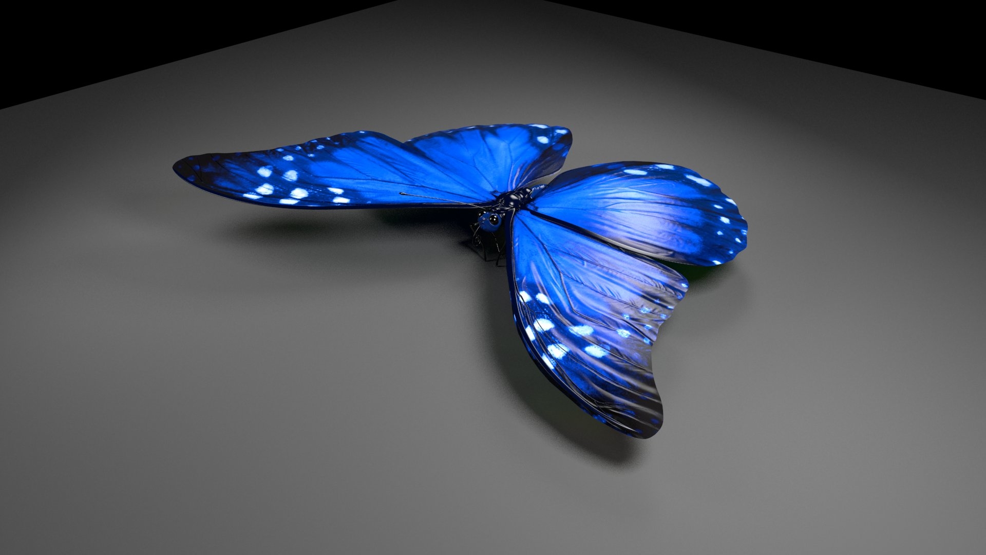 butterfly hd 3d model