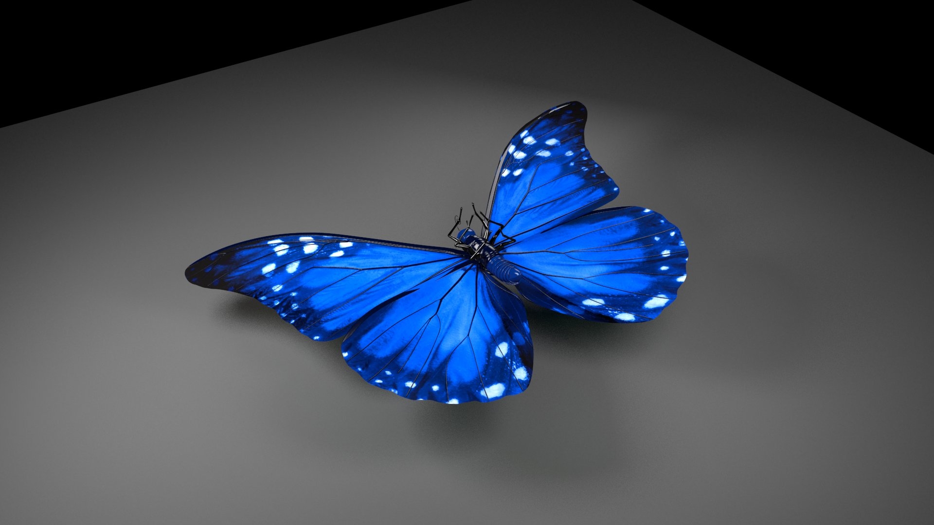 butterfly hd 3d model