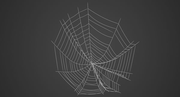 Spider Web 3D Models for Download | TurboSquid