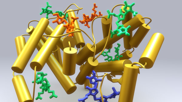 Protein 3D Models for Download | TurboSquid