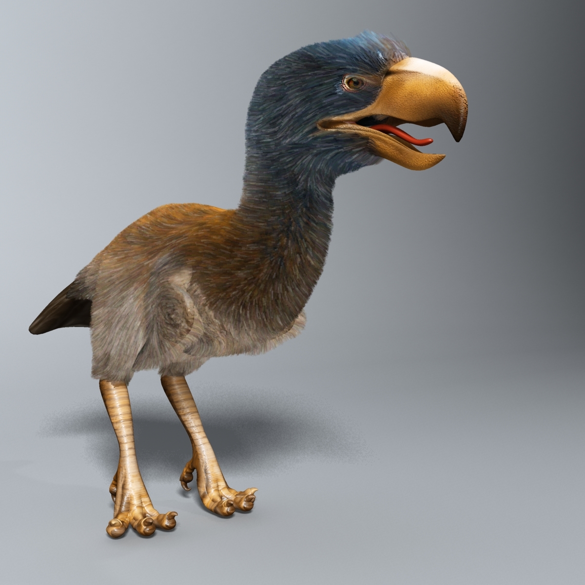 titanis walleri terror bird 3d model
