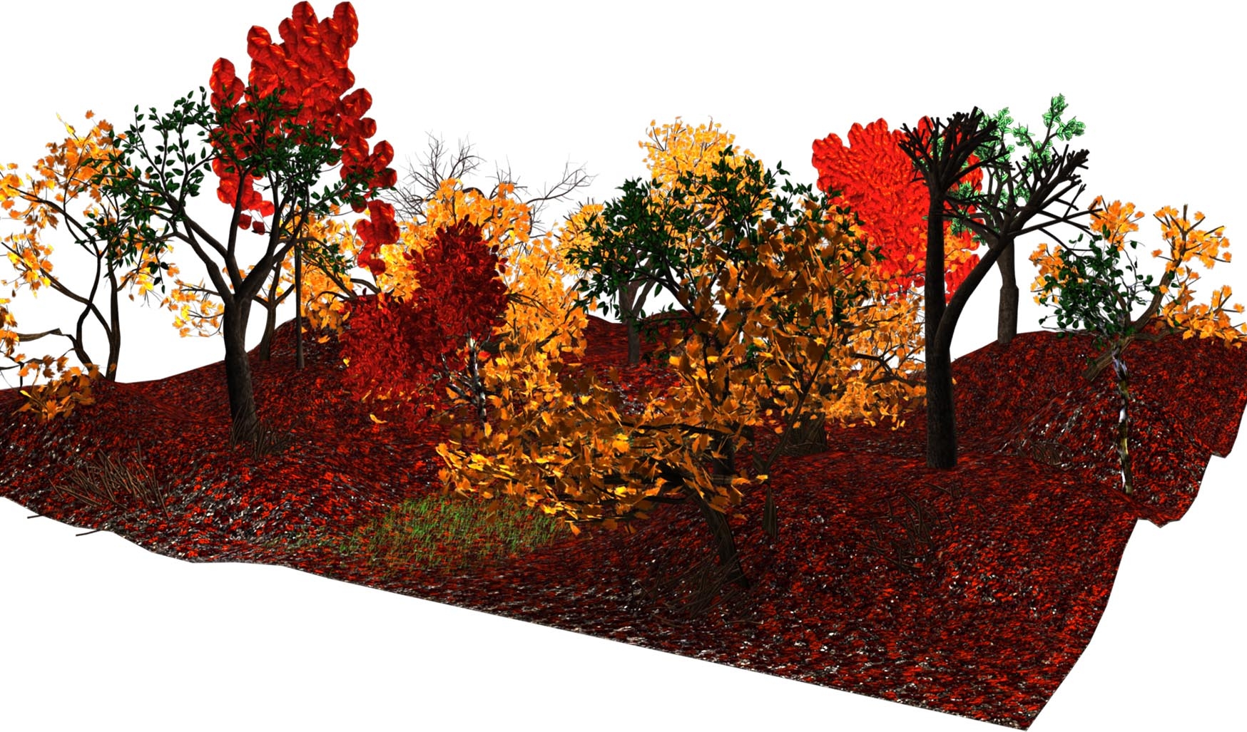 3d autumn forest trees model