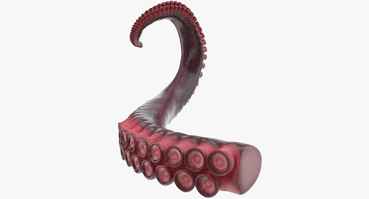 3d model tentacle octopus