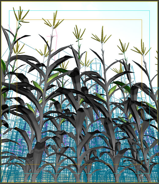 corn field 3d model