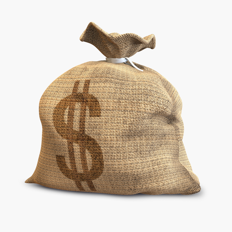 money bag 3d model