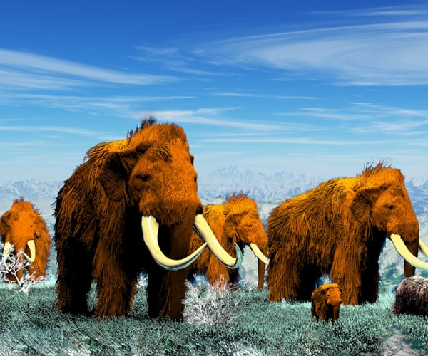 Mammoth 3D Models for Download | TurboSquid