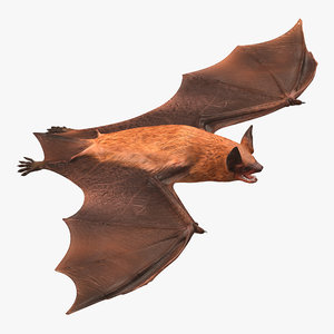 Bat 3D Models for Download | TurboSquid