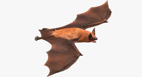 3ds bat realistic