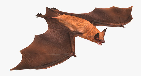 3ds bat realistic