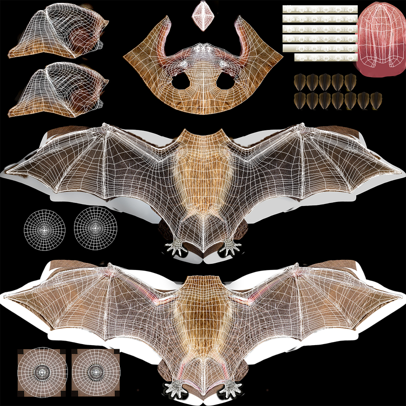 bat rigged 3d model