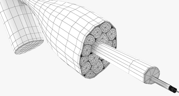 muscle cross section obj