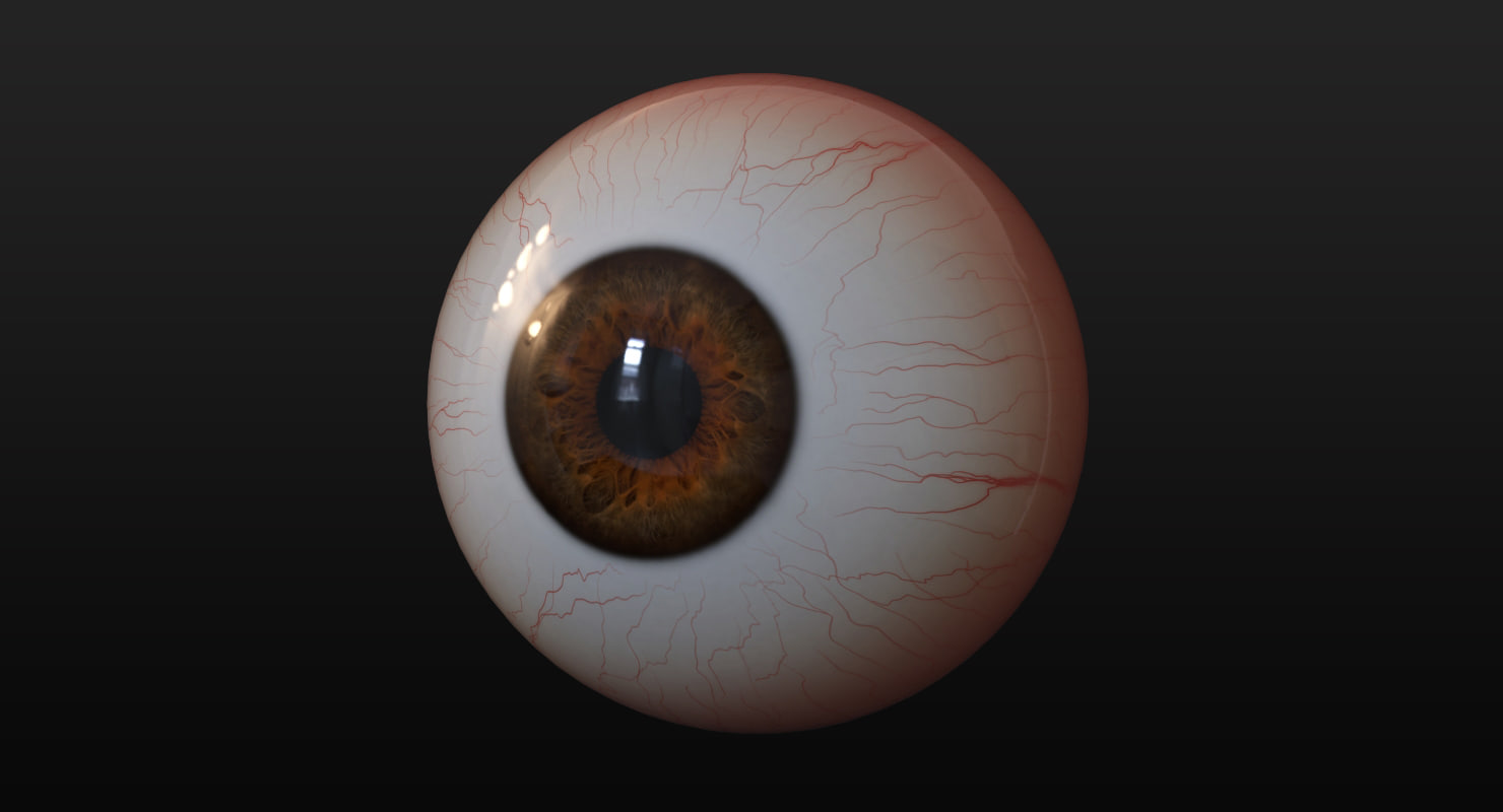 눈알 3D 모델 - TurboSquid 1086487