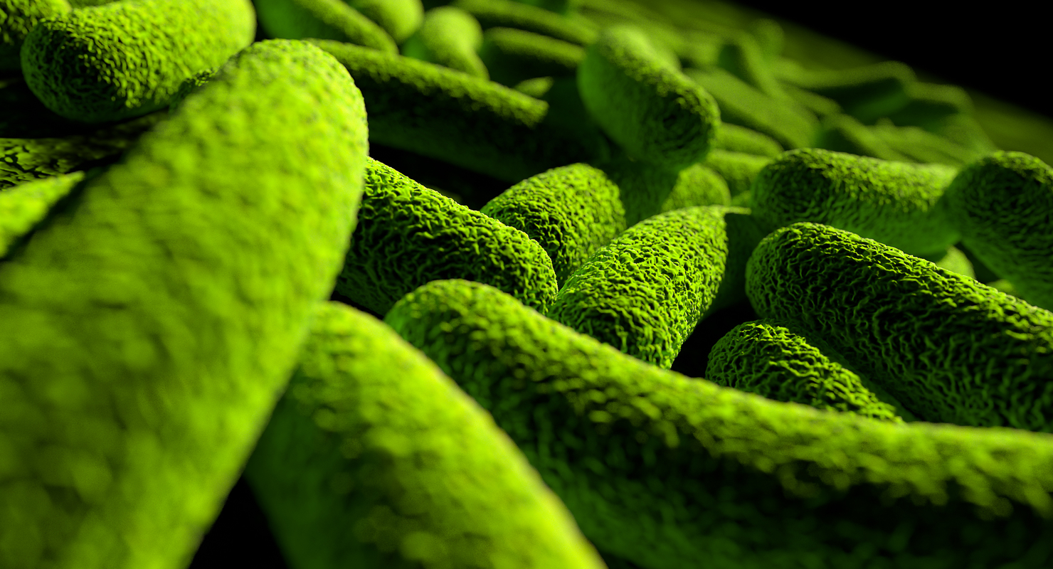 bacteria 3d max