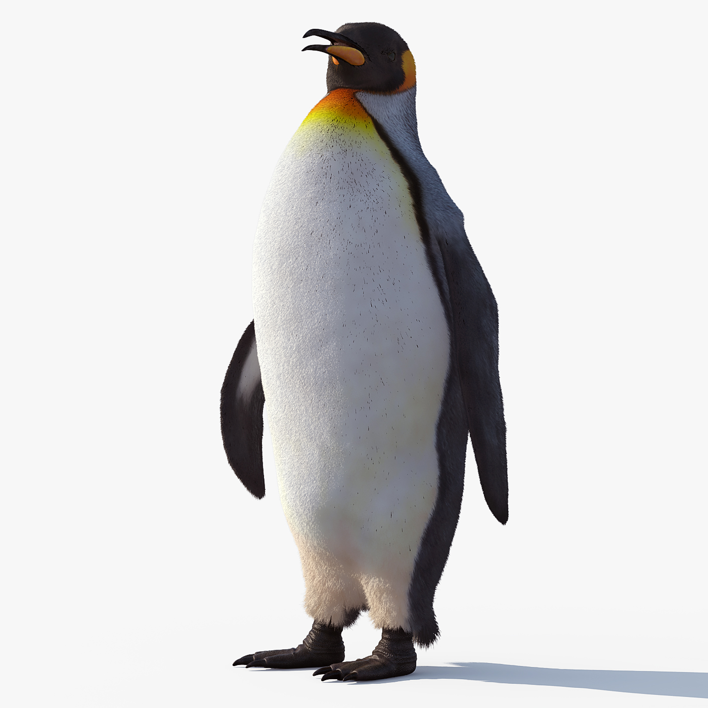 3d king penguin fur rigged model