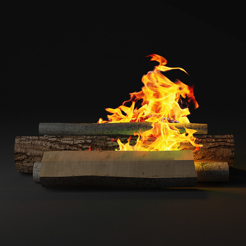 3d model bonfire camp