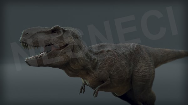 3d model trex animation realistic