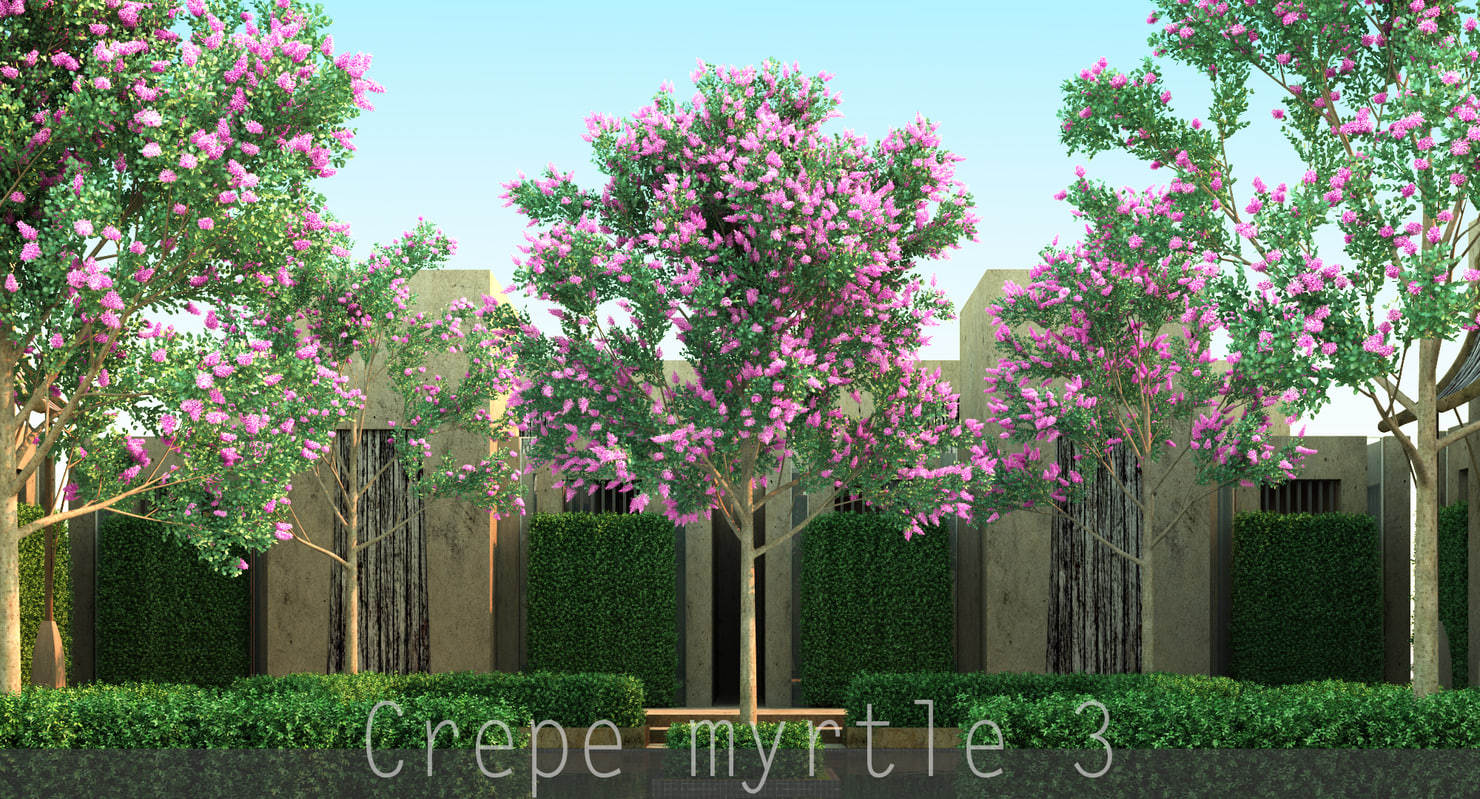 max 3 4 tree flowers