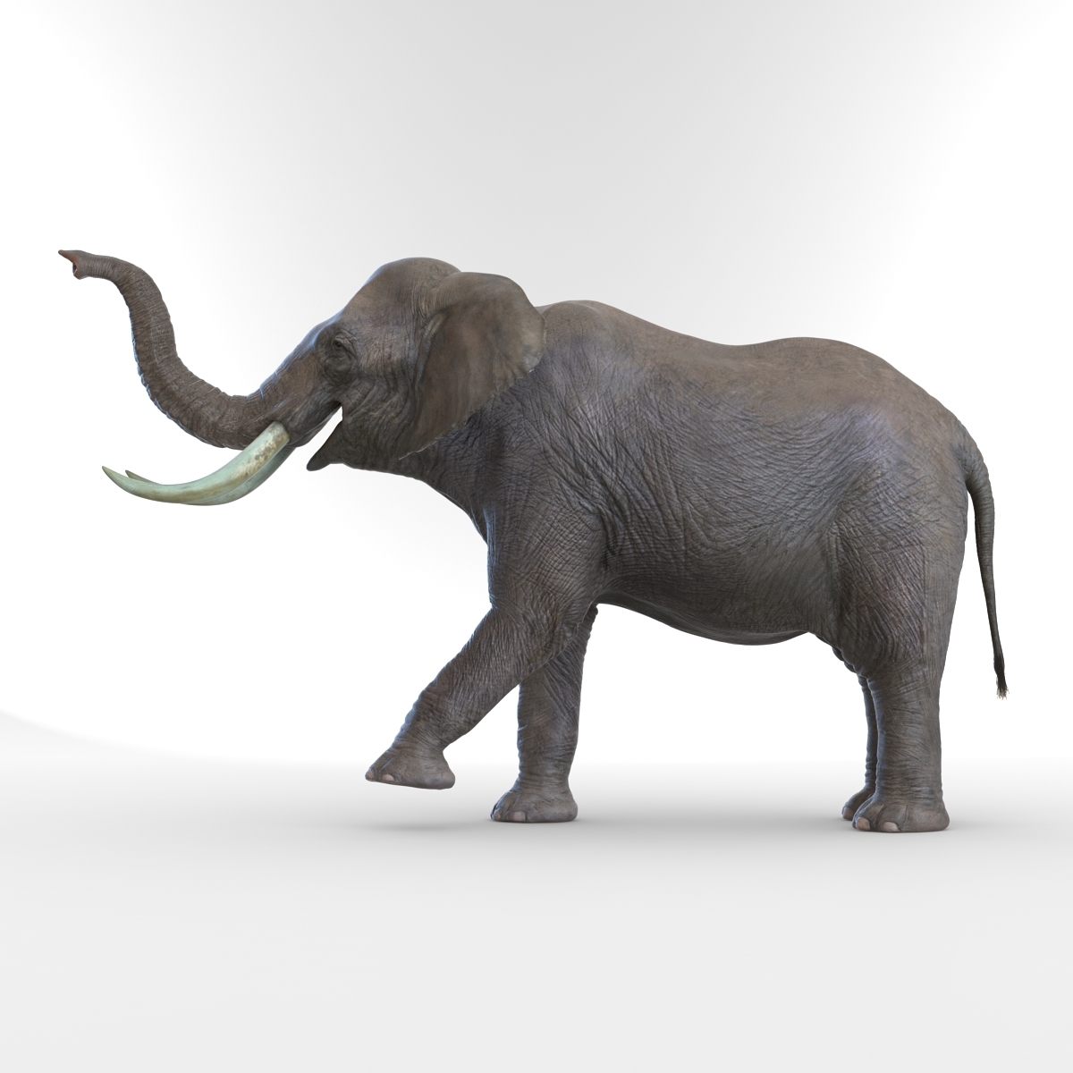 elephant rigged 3d model