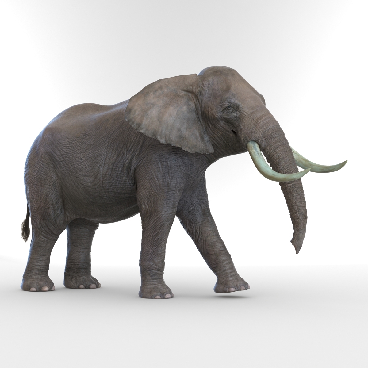 elephant rigged 3d model