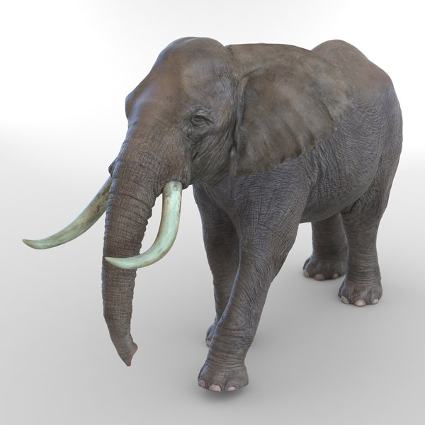 elephant rigged 3d model