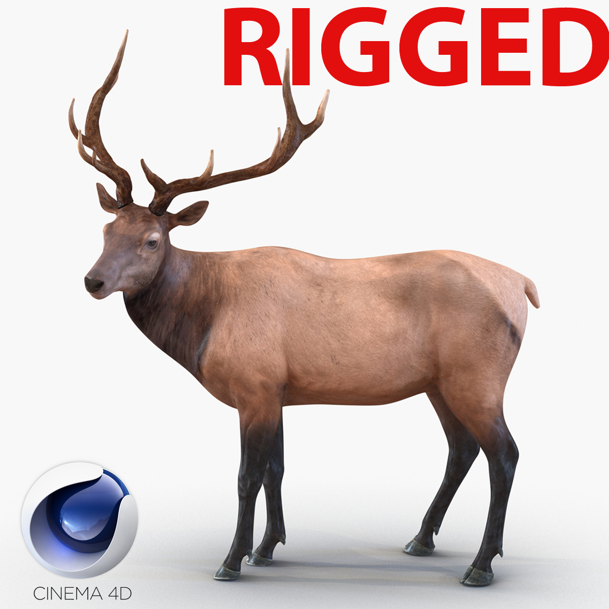 elk rigged animate 3d model elk rigged animate 3d model