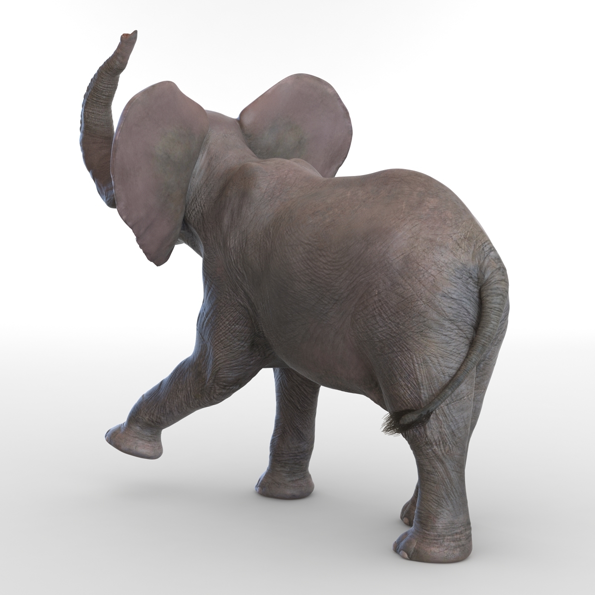 3d model baby elephant rigged