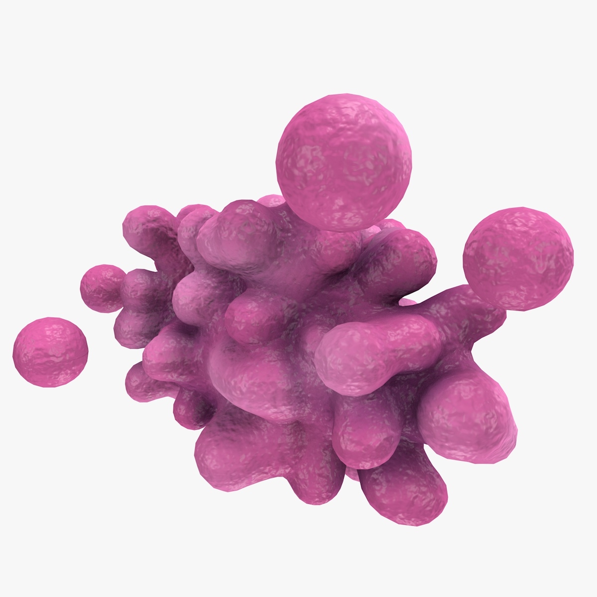 3d Model Golgi Apparatus 7519