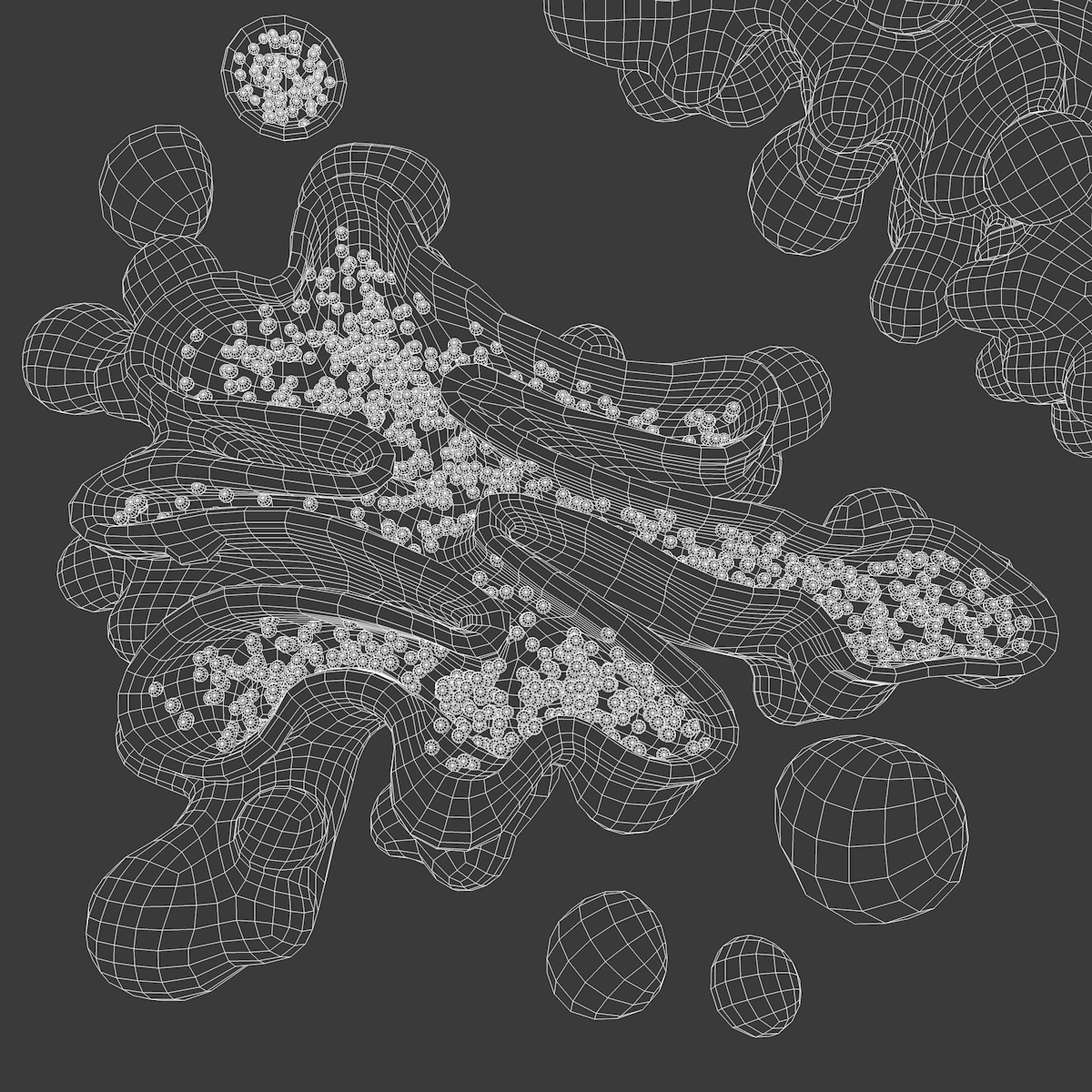 3d Model Golgi Apparatus 3388